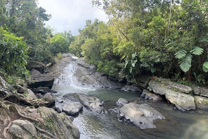 El Yunque & Beach Tour: Waterslide, Waterfall, Food, & Photos - An In-Depth Look at the Tour Experience