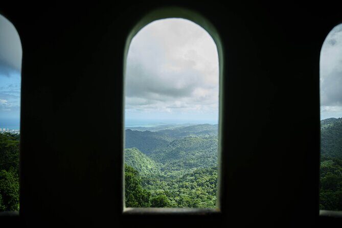 El Yunque Educational Rainforest Walk Easy and Family Friendly - The Value of This Tour
