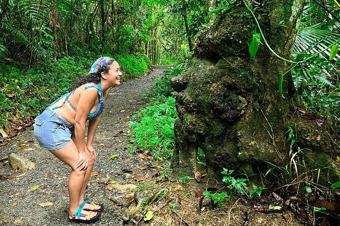 El Yunque for Everyone: Natural Pool & Easy Rainforest Hike - The Sum Up