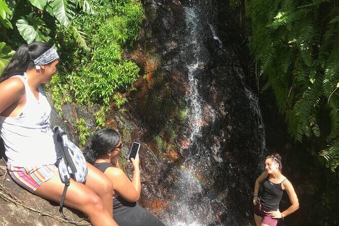 El Yunque Hike Adventure to Las Tinajas Waterfall from Fajardo - Itinerary Breakdown: What to Expect