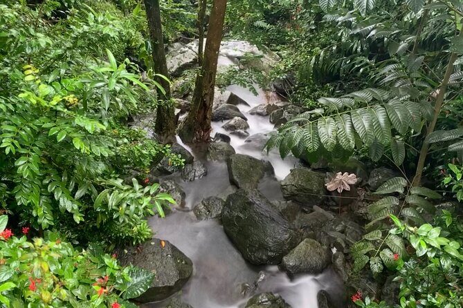 El Yunque National Forest and Luquillo Kiosks Combo - Wrapping Up