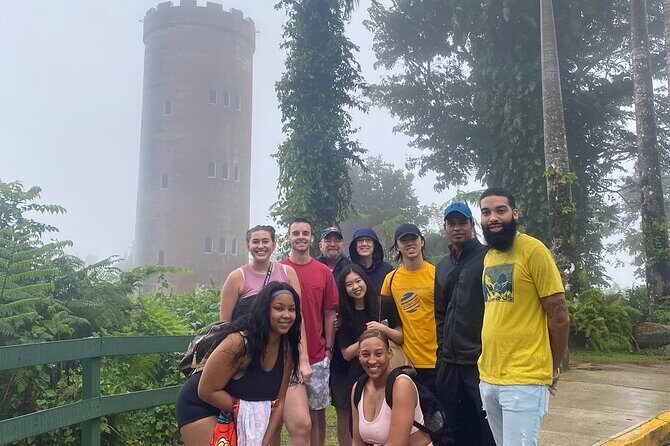 El Yunque National Forest Guided Tour with Transport - An In-Depth Look at the Tour Experience