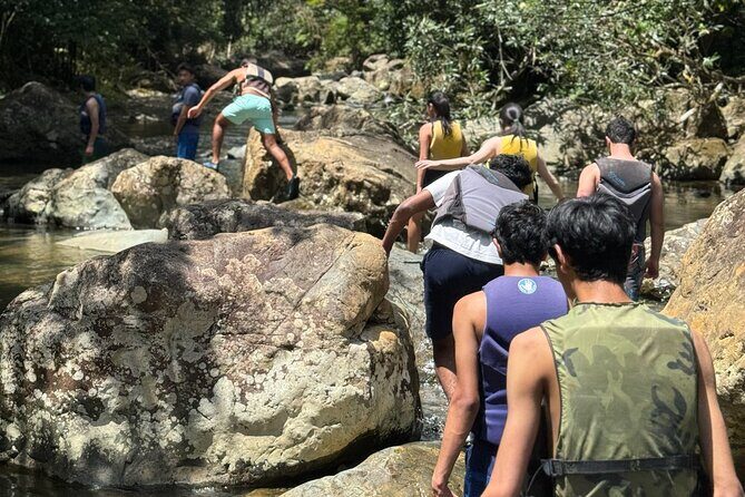 El Yunque Rainforest Adventure: Hidden Waterfalls & Water Slides - Exploring the El Yunque Rainforest Adventure: Hidden Waterfalls & Water Slides