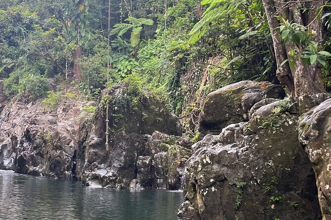El Yunque Rainforest Adventure: Hidden Waterfalls & Water Slides - Key Points
