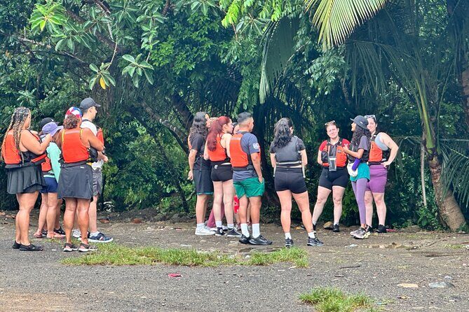 El Yunque Rainforest Adventure: Hidden Waterfalls & Water Slides - What to Expect on the Ground