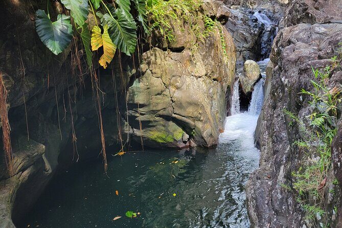El Yunque Rainforest and Luquillo Kiosk Day Trip - The Tour Breakdown: What to Expect