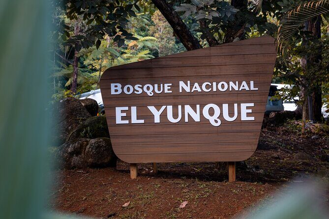 El Yunque Rainforest EZ-going Bus Tour (wheelchair accessible) - Introduction
