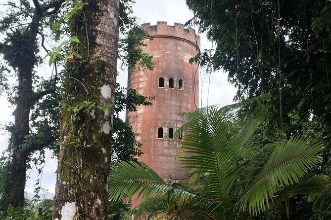 El Yunque Rainforest EZ-going Bus Tour (wheelchair accessible) - Concluding Thoughts