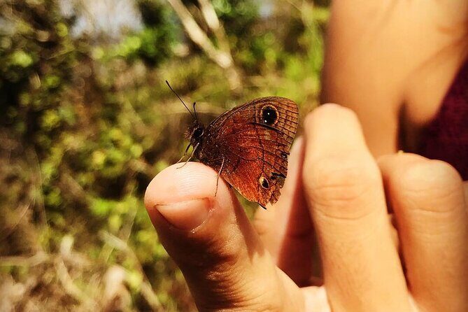 El Yunque Rainforest EZ-going Bus Tour (wheelchair accessible) - FAQ