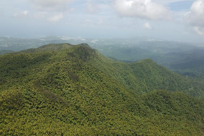 El Yunque Rainforest Full Day Private Tour - FAQ