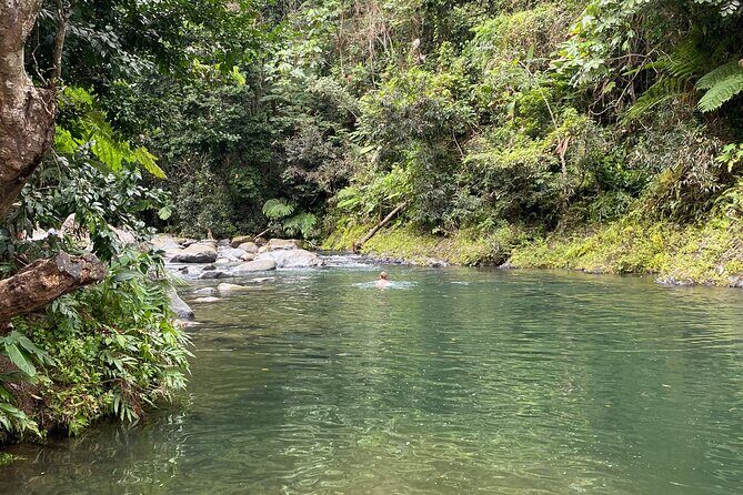 El Yunque Rainforest Guided Day Tour from San Juan - Potential Drawbacks or Considerations