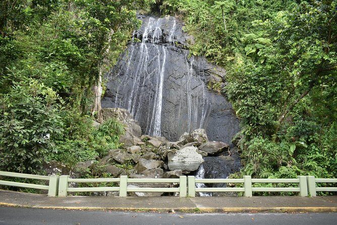 El Yunque Rainforest Guided Day Tour from San Juan - FAQ