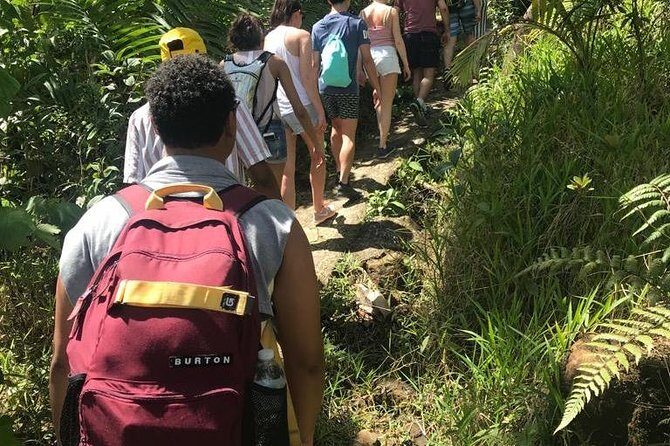 El Yunque Rainforest Guided Day Tour from San Juan - Final Thoughts