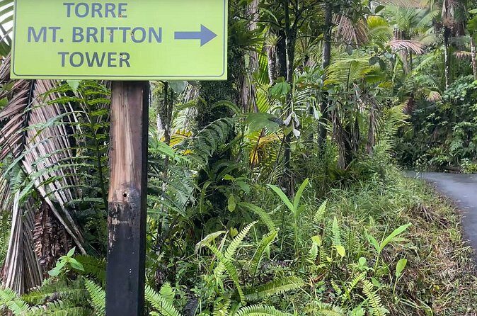 El Yunque Rainforest Hike with Transport from San Juan - The Transportation and Logistics