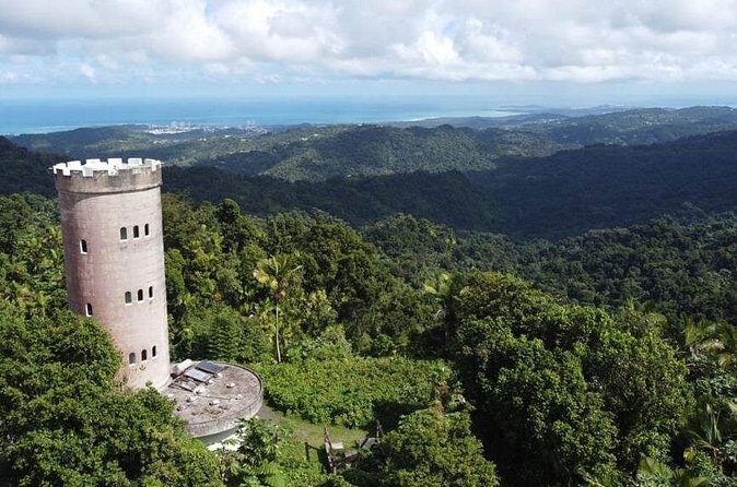 El Yunque Rainforest Hike with Transport from San Juan - Authentic Experiences and Tour Quality