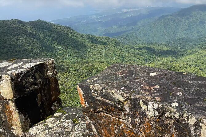 El Yunque Rainforest Hike with Transport from San Juan - The Reviews Speak Volumes