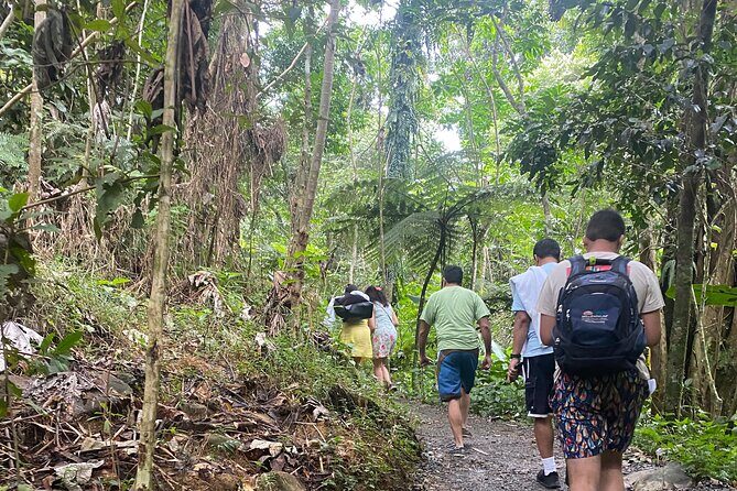 El Yunque Rainforest Hiking Tour from San Juan - The Itinerary in Detail