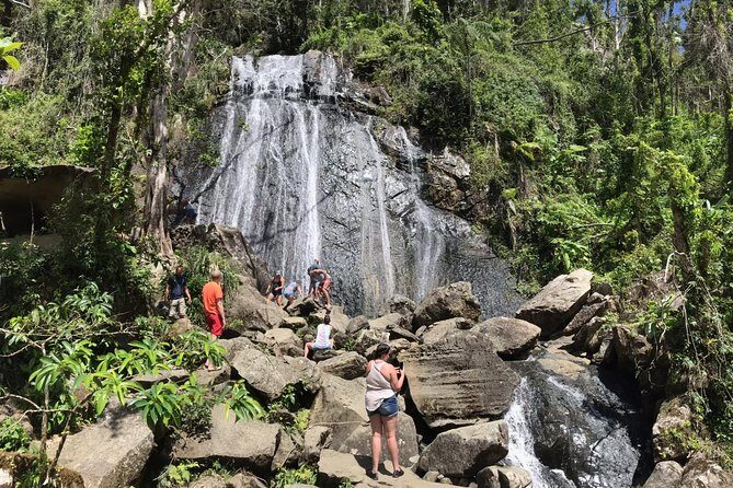 El Yunque Rainforest Hiking Tour from San Juan - The Downsides and Considerations