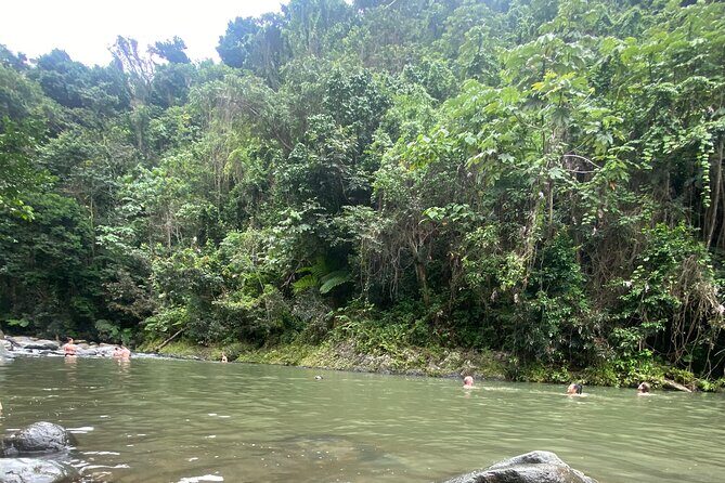 El Yunque Rainforest Hiking Tour from San Juan - Practical Tips for Travelers