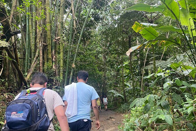 El Yunque Rainforest Hiking Tour from San Juan - Final Thoughts