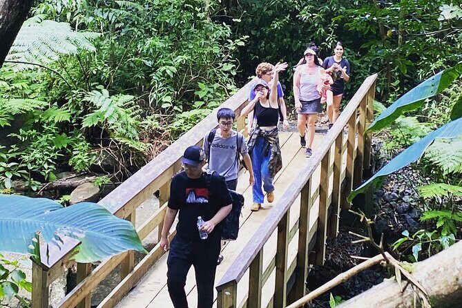 El Yunque Rainforest Hiking Tour from San Juan - About the Provider