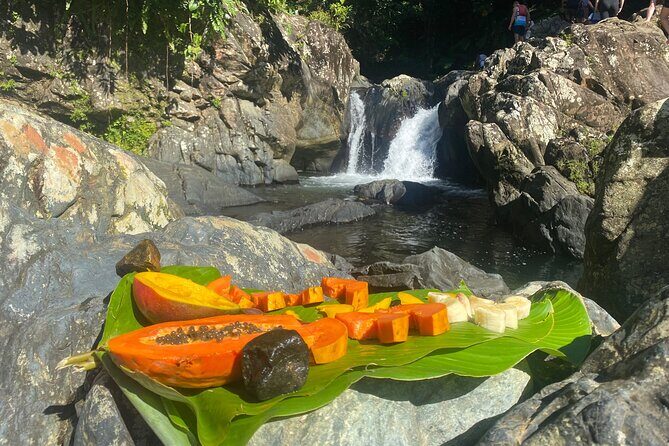 El Yunque Rainforest Morning River and Hike Adventure - The Sum Up