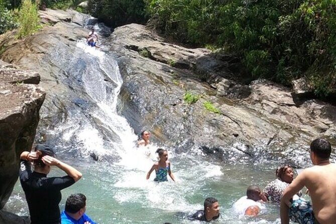 El Yunque Rainforest Party Tour with Waterslide and Rope Swinging - What to Expect from the Itinerary