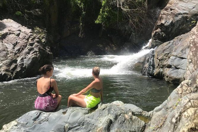 El Yunque Rainforest Tour from Fajardo - Key Points