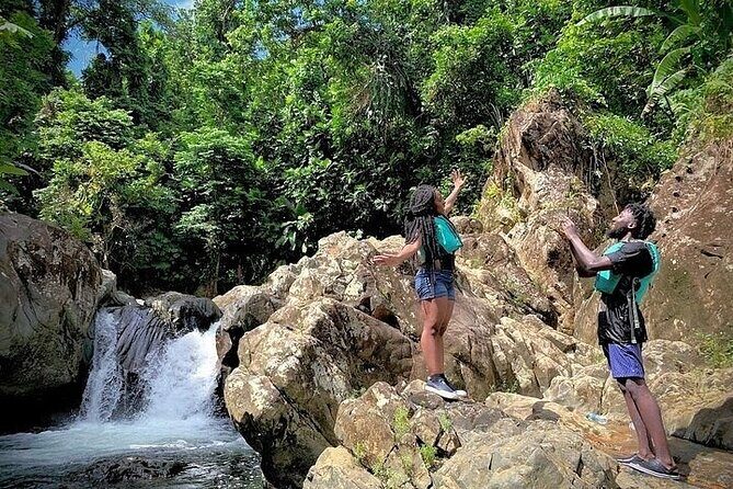 El Yunque Rainforest Tour Half Day Earlybird/ Small Groups - The Reviewers’ Perspective