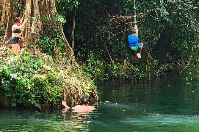 El Yunque Rainforest Tour Half Day Earlybird/ Small Groups - Considerations and Caveats
