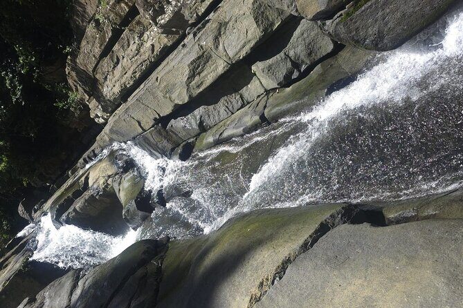 El Yunque Rainforest Waterslides Transport from San Juan - What We Loved About the Tour