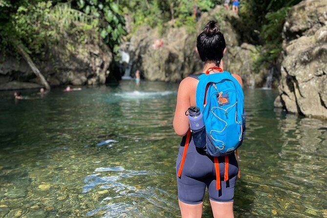 El Yunque Small Group Tour with Luquillo Lunch Stop and Transport - Practical Details and Why They Matter