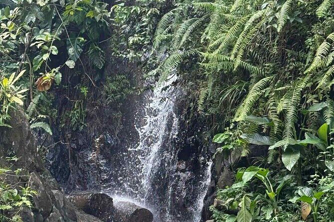 El Yunque Waterslides, Jumps, swing! small business owner:) - Who Would Love This Experience?