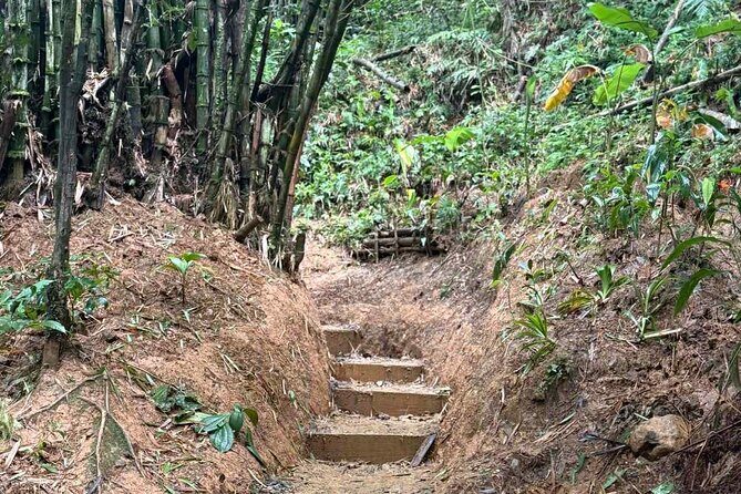 El Yunque Waterslides, Jumps, swing! small business owner:) - The Sum Up