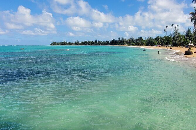 El Yunque Ziplining with River and Beach Visit - Getting to Know the Tour: A Full Breakdown