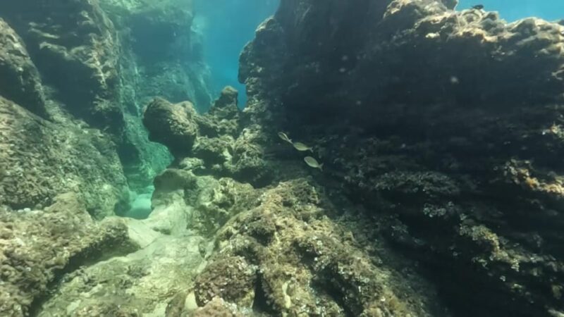 Elafiti: Caves, Beaches, Ancient places, Fun in 5h trip - FAQ