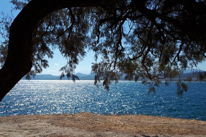 Elafonisi & Falasarna Private Tour: Cretes Top Beaches - FAQ