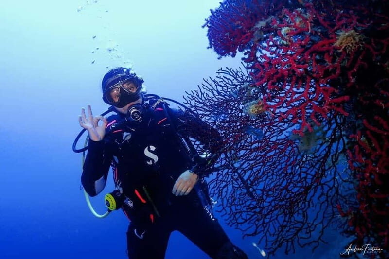 Elba Island: Double Dive with Instructor and Snacks - Key Points