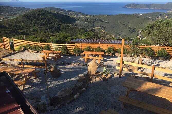 Elba Island Farmhouse tasting experience - A Scenic Hilltop Blooming with Culinary Delights