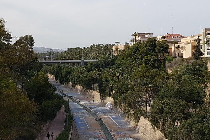 Elche, UNESCO Heritage Sites and museums - Authentic Experiences and Guest Feedback