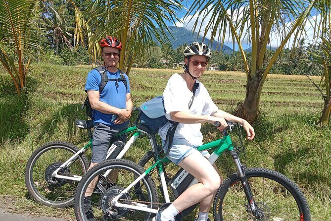 Electric bicycle tour in Jatiluwih UNESCO site - The Reviews Speak for Themselves