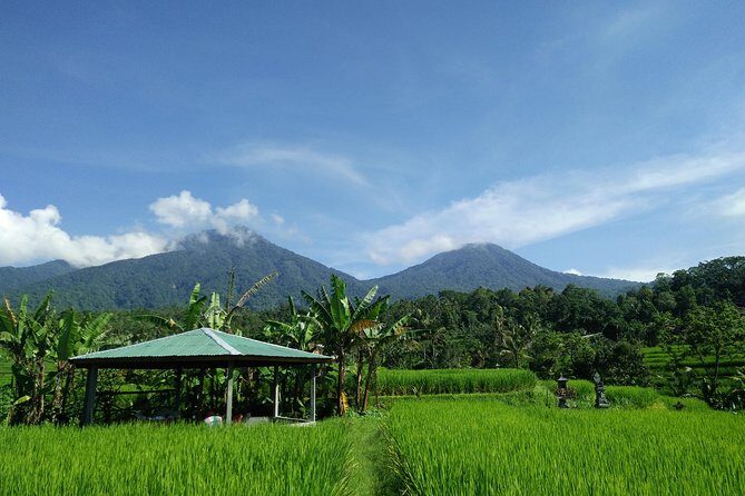 Electric bicycle tour in Jatiluwih UNESCO site - FAQ