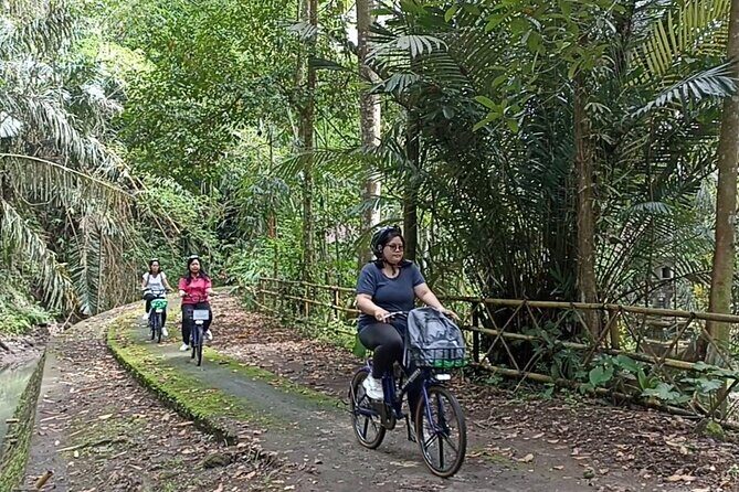 Electric bicycle tour in quaint South Ubud - An Honest Look at the South Ubud Electric Bike Tour