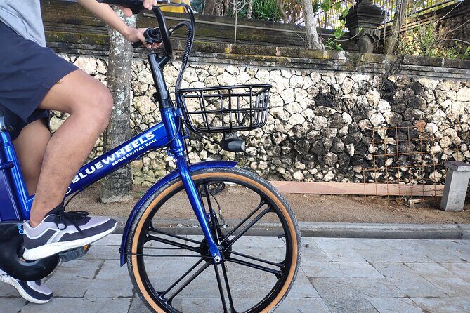 Electric bicycle tour in quaint South Ubud - What’s Included and What’s Not
