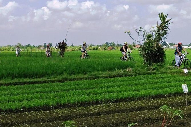 Electric bicycle tour in quaint South Ubud - The Sum Up