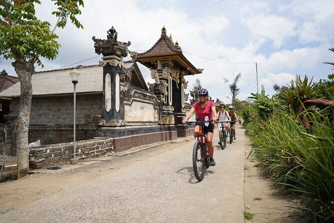 Electric Bike and Swing Package - A Full Breakdown of the Experience