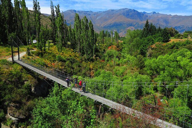 Electric Bike and Wine Tour Queenstown - Who Should Consider This Tour?