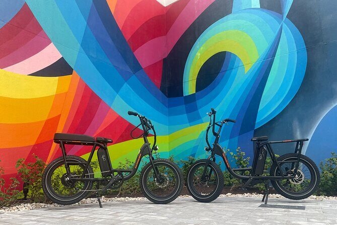 Electric Bike Day Rental - The Experience from Your Perspective