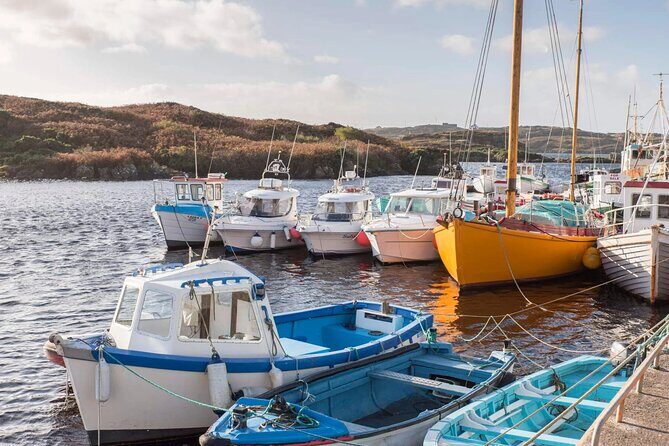 Electric Bike Donegal: Must-Do Half-Day Adventure! - An In-Depth Look at the Donegal Electric Bike Tour