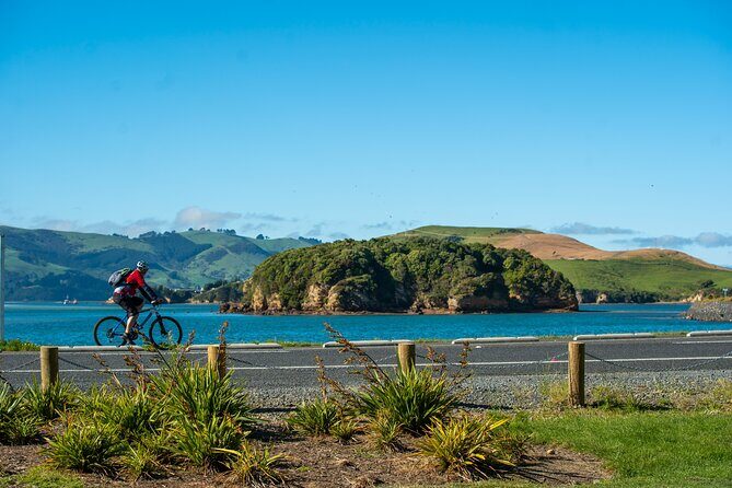 Electric Bike Rental - Exploring Dunedin and the Otago Peninsula on E-bikes: What to Expect